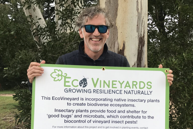 Case study Ashton Hills | Ecovineyards