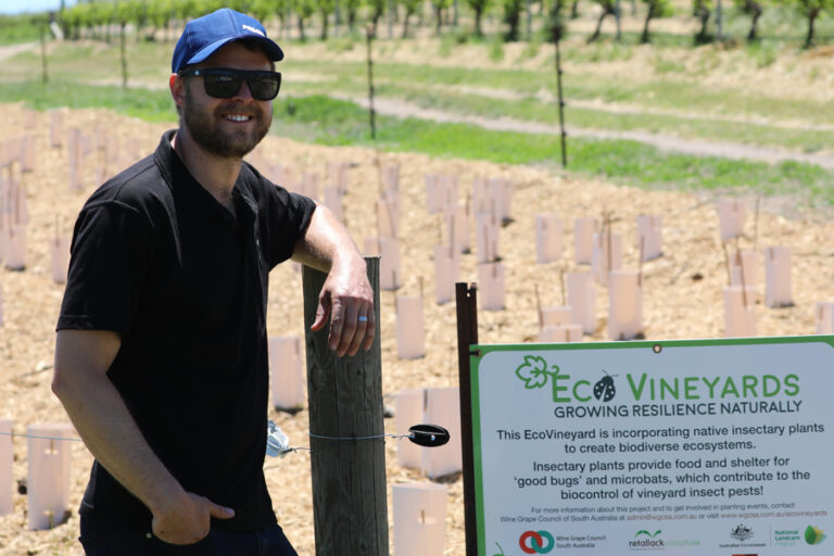 Case study Henschke | Ecovineyards