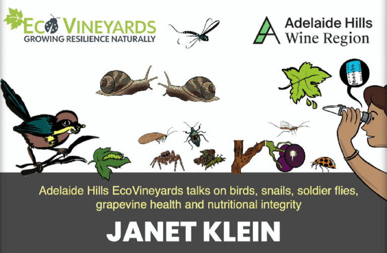Video Adelaide Hills session, Janet Klein presents regional updates ...