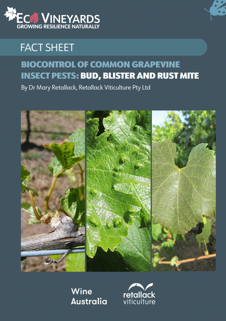 Fact Sheet Biocontrol of common grapevine insect pests - bud, blister and rust mite | Ecovineyards