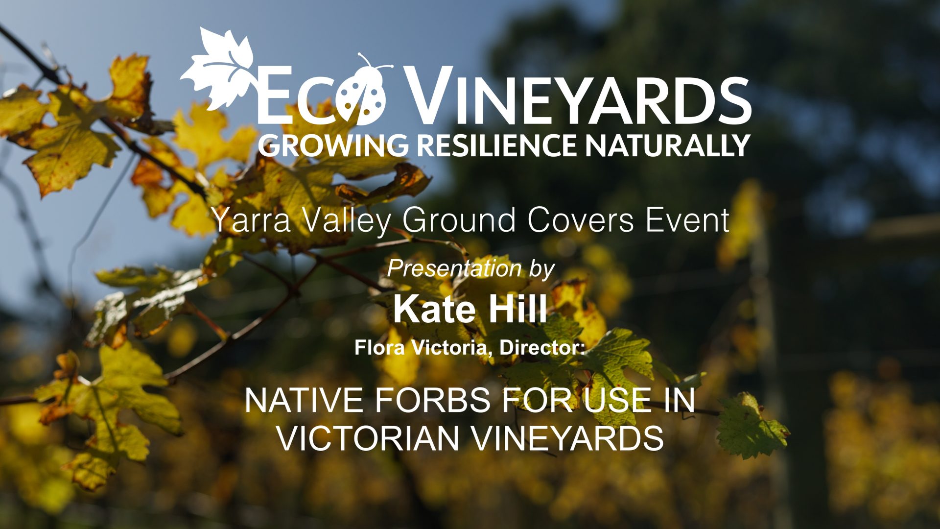 Video Kate Hill, Flora Victoria. Native forbs for use in Victorian ...