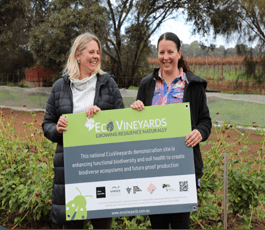 Case study Karanto Vineyards | Ecovineyards