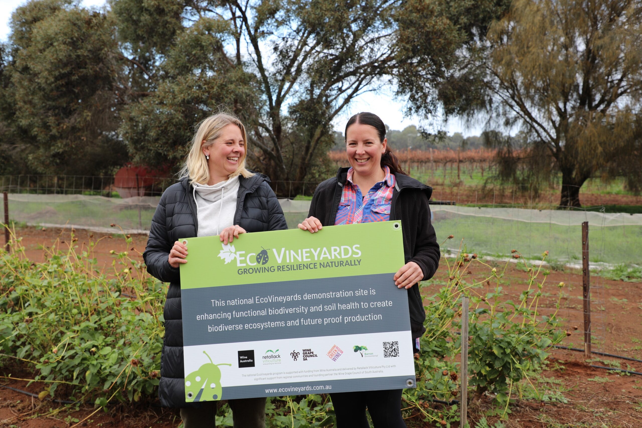 Case study Karanto Vineyards | Ecovineyards