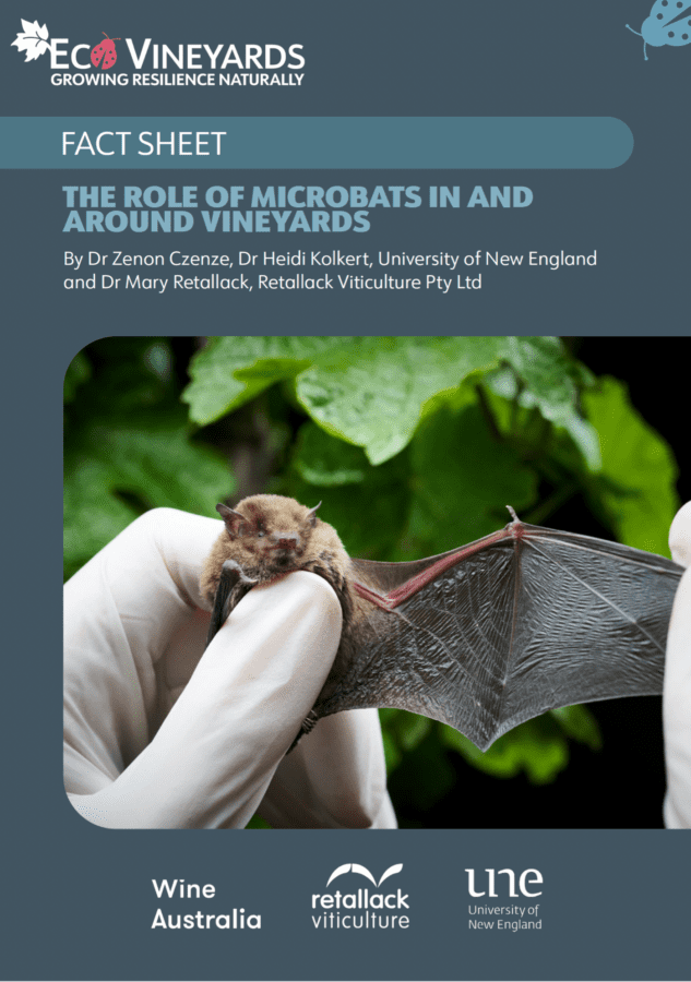 Fact Sheet The role of microbats in and around vineyards | Ecovineyards