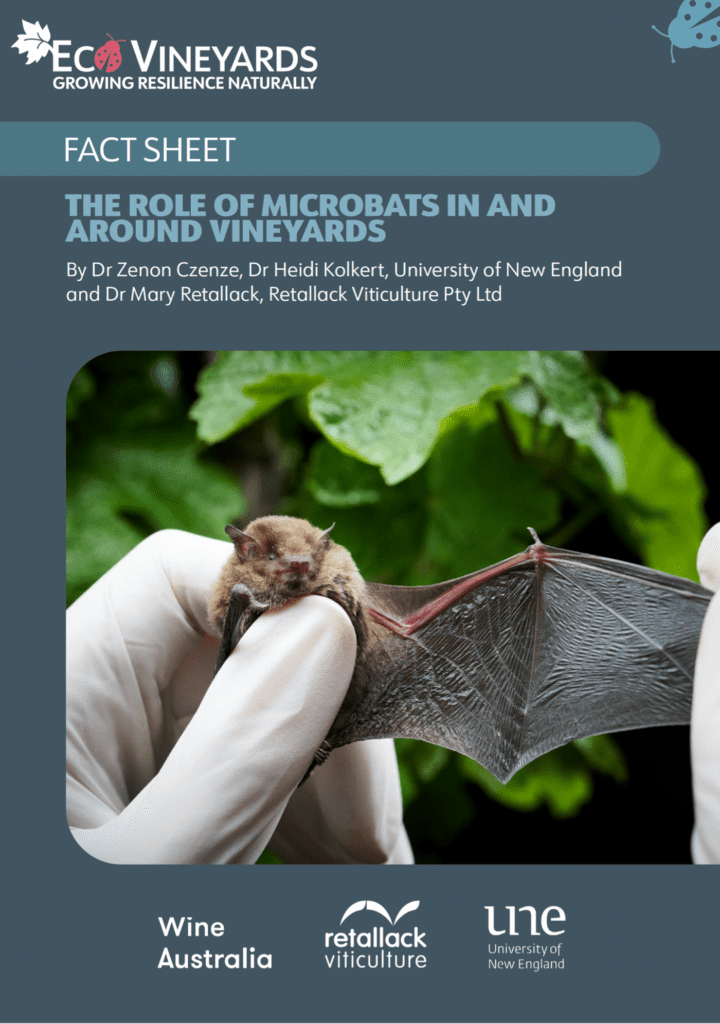 Fact Sheet The role of microbats in and around vineyards | Ecovineyards