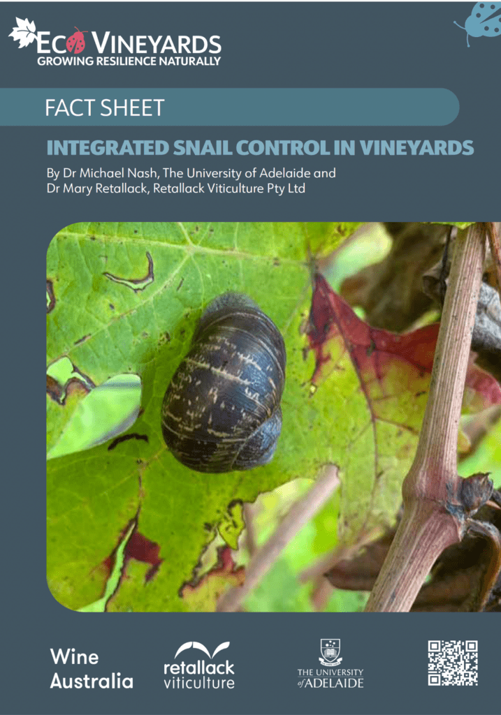 Fact Sheet Integrated Snail Control In Vineyards Ecovineyards