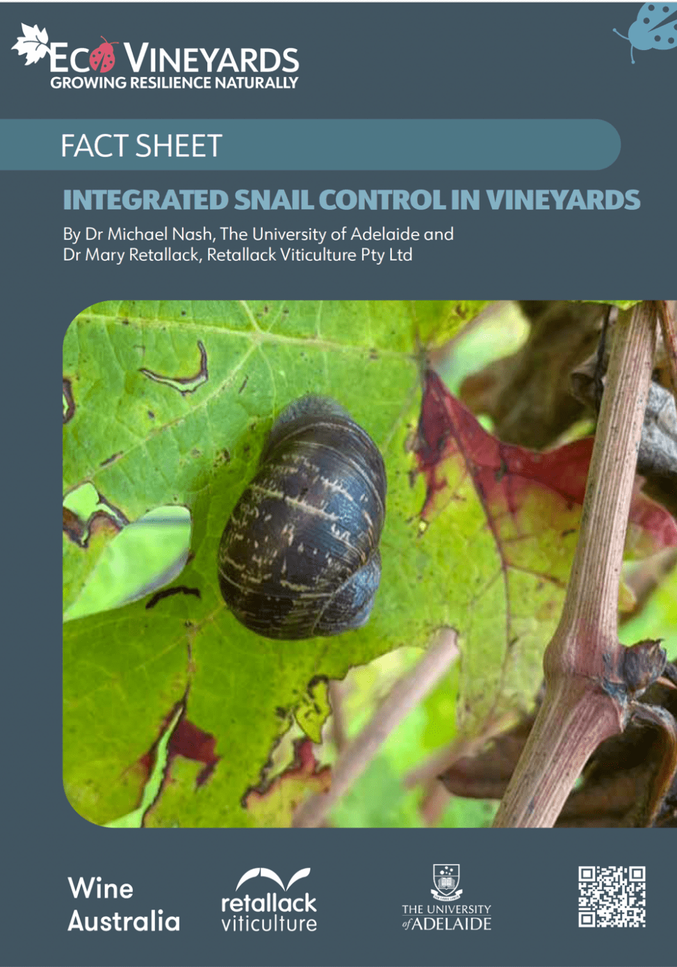 Fact Sheet Integrated snail control in vineyards | Ecovineyards