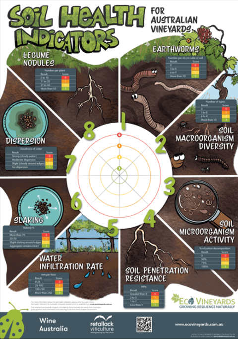 Poster Soil health indicators poster | Ecovineyards